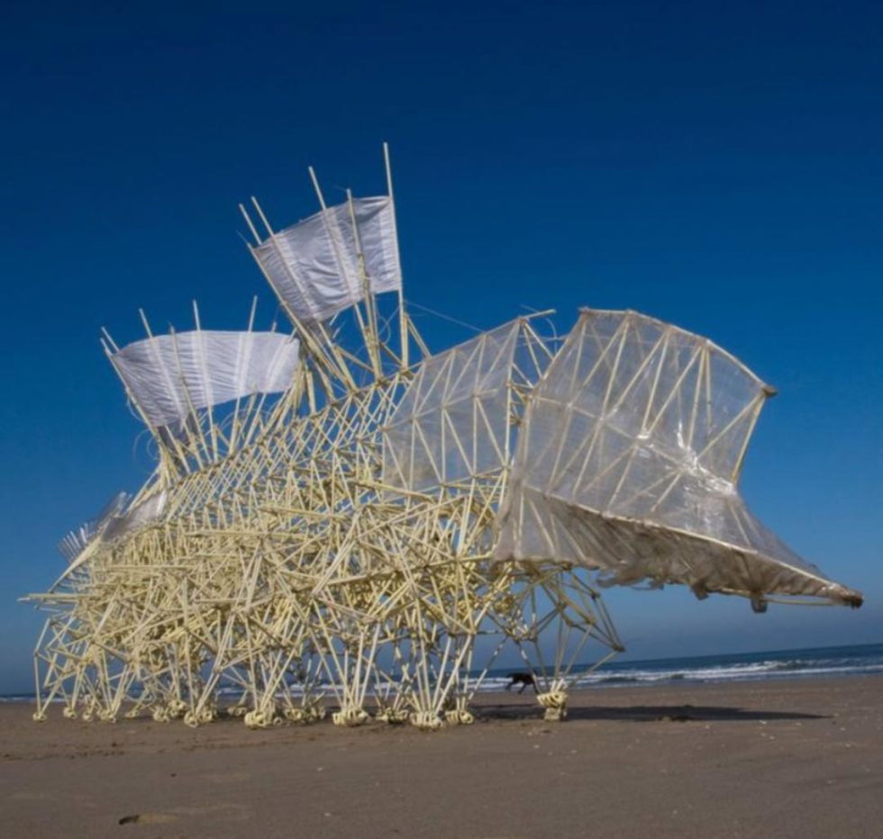 Theo Jansen Fossielen En Schetsen Kinetische Esthetiek January 17, – 29 ...